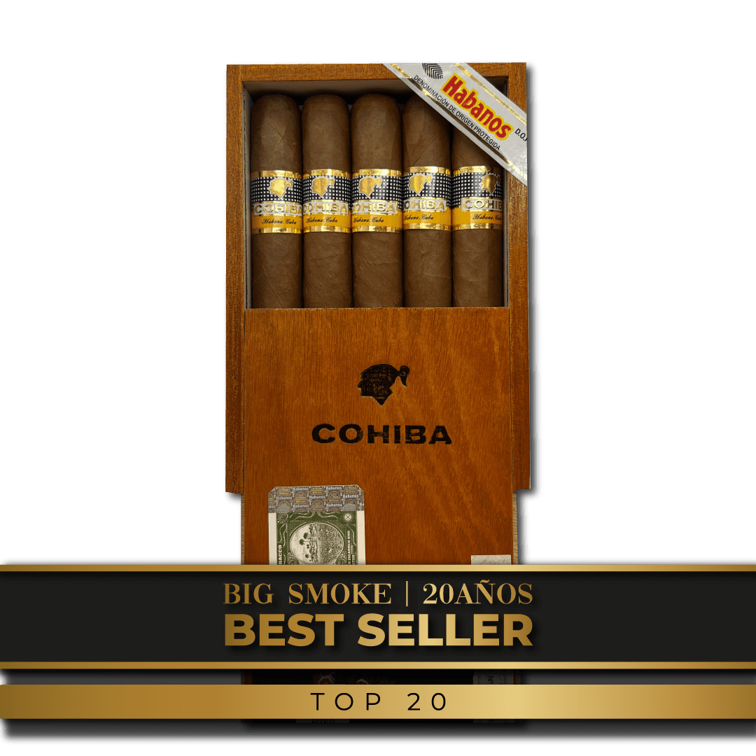 Cohiba Siglo VI CAJA X10 Unidades